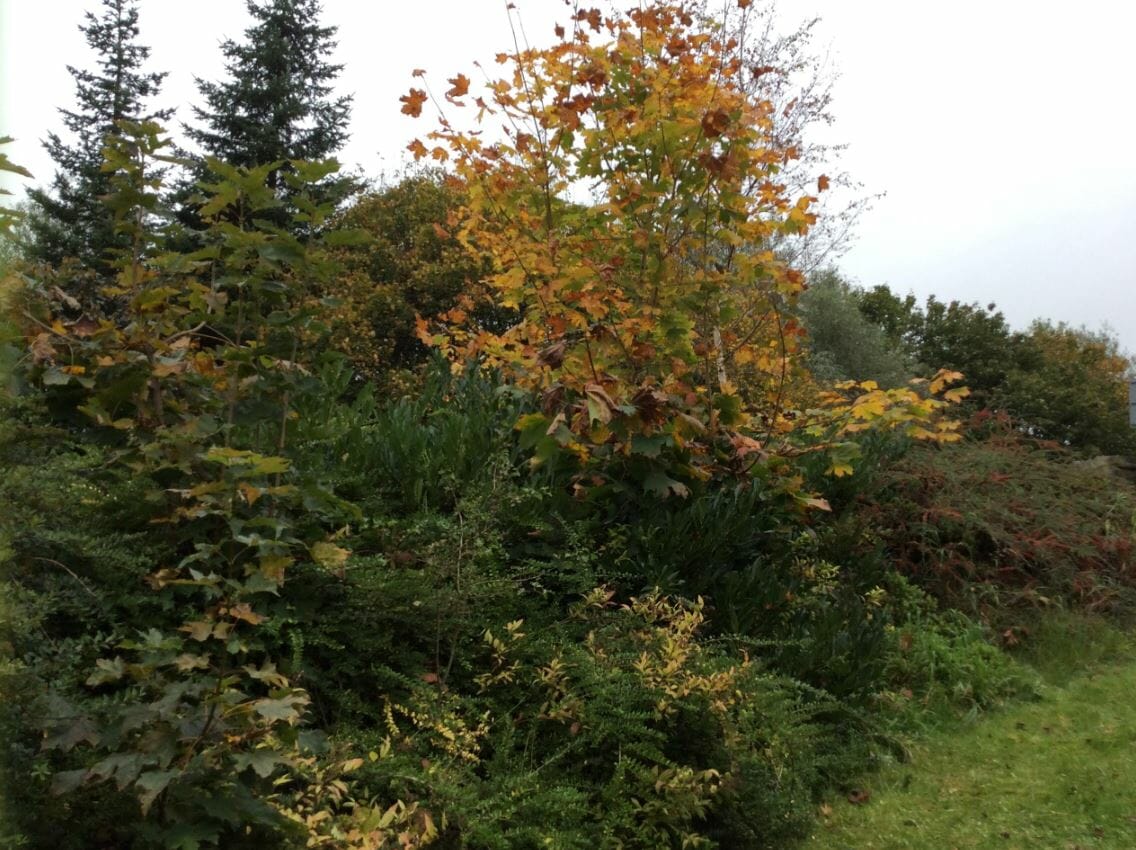 EYFS – Autumn Walk | St James